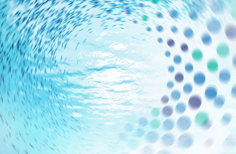 Accelerating Global Mission Together - Lausanne Movement