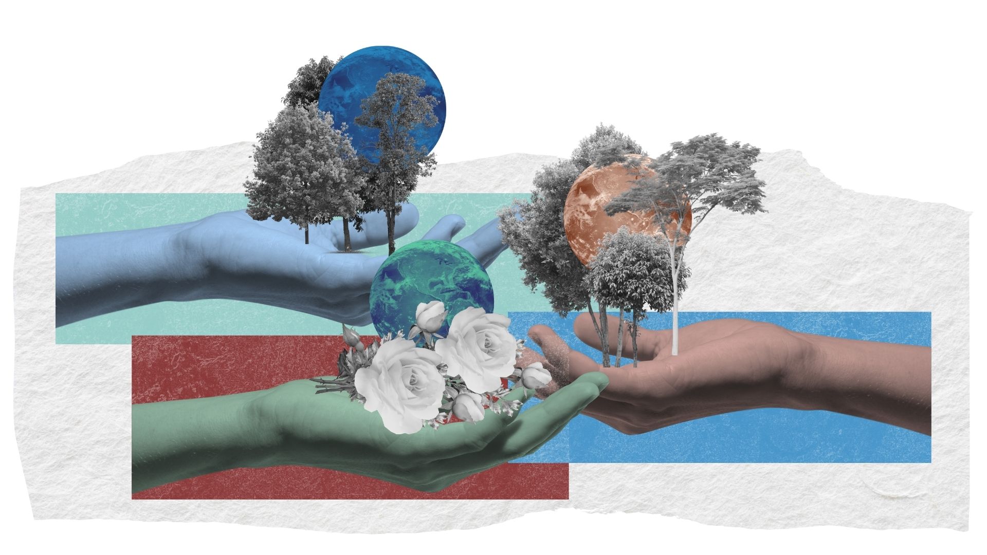 Displaying the Gospel through Creation Care—A Call to Action for the ...