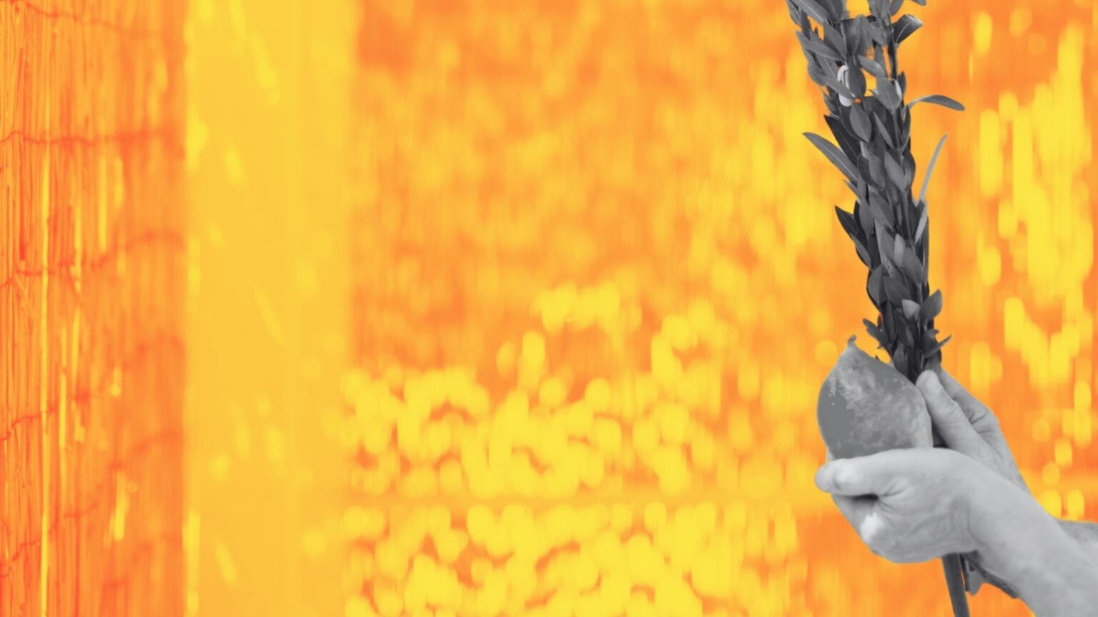 Understanding Sukkot: A Christian Guide to the Jewish Feast of Tabernacles