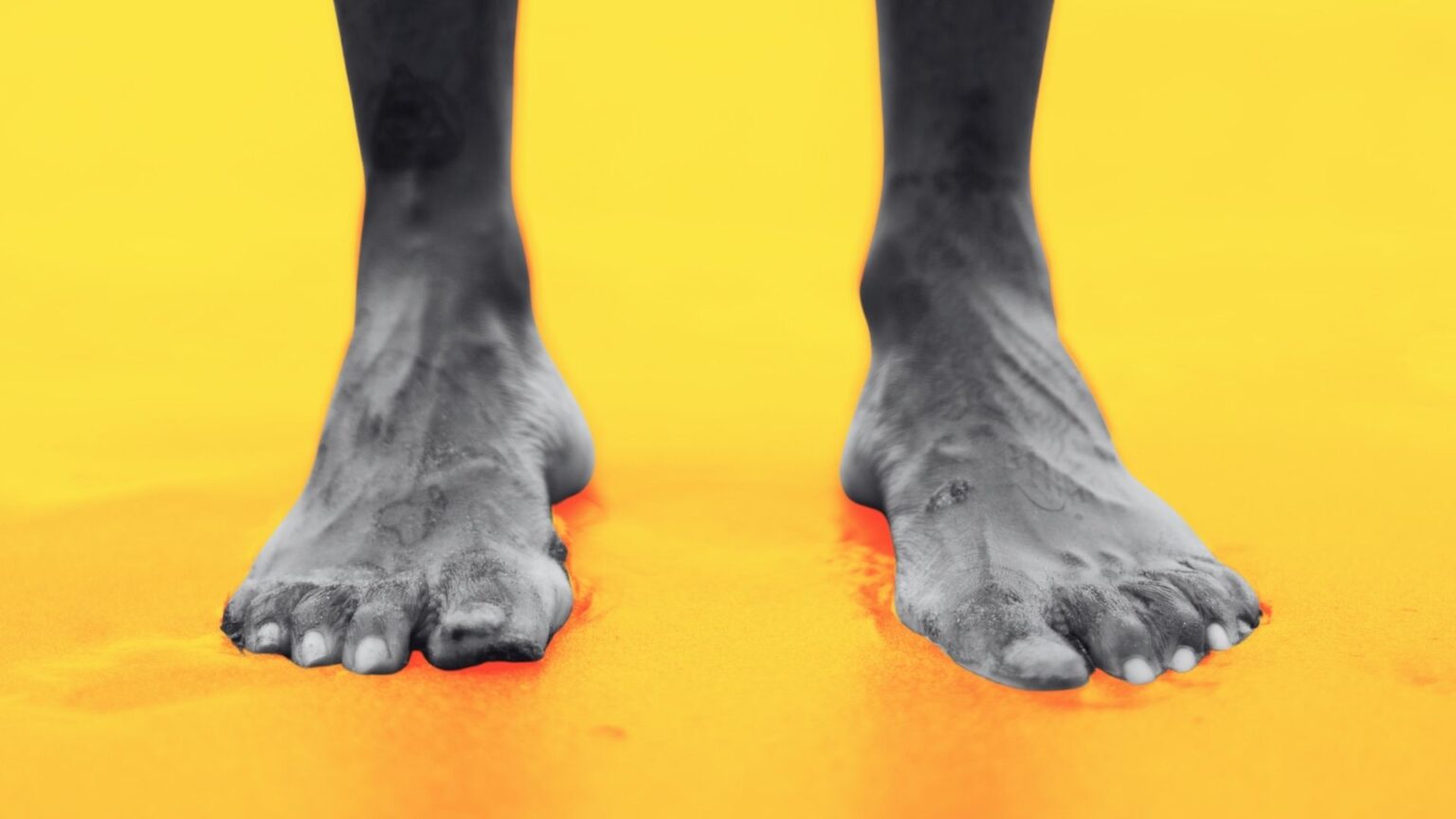 Understanding Sukkot: A Christian Guide to the Jewish Feast of Tabernacles