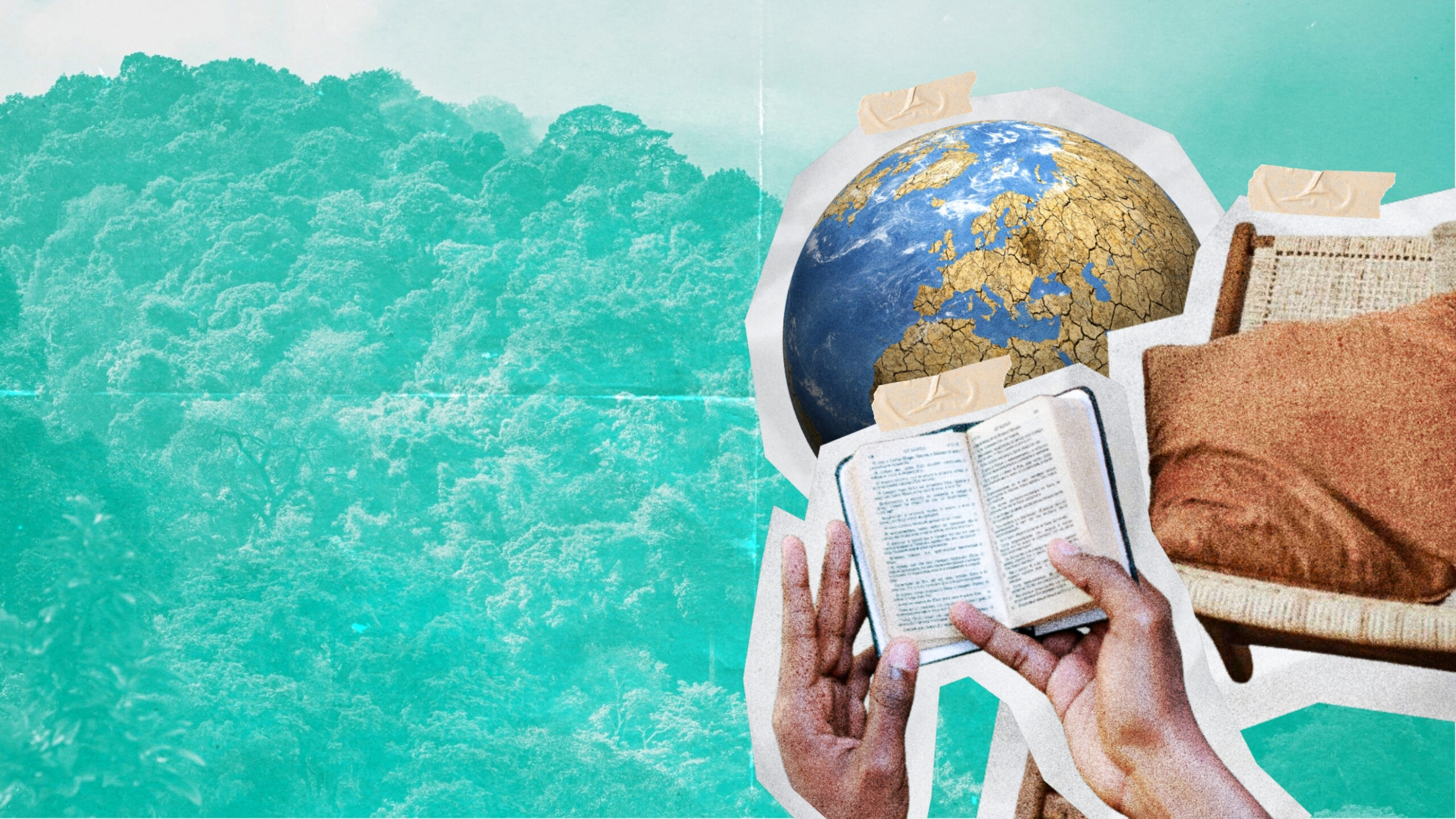 Sabbath and Creation Care - Lausanne Movement